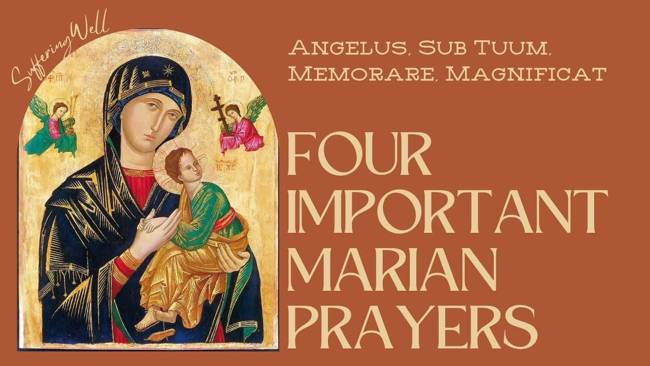 Four Important Marian prayers - Pray with us, text provided. Angelus ...
