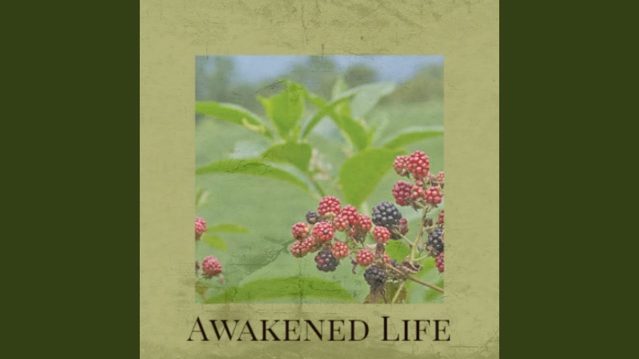 Phases ~ Singularity Sans Clarinet - YouTube Music