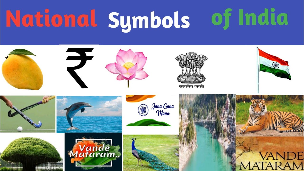 National Symbols of India # Let's learn National Symbols of India ...