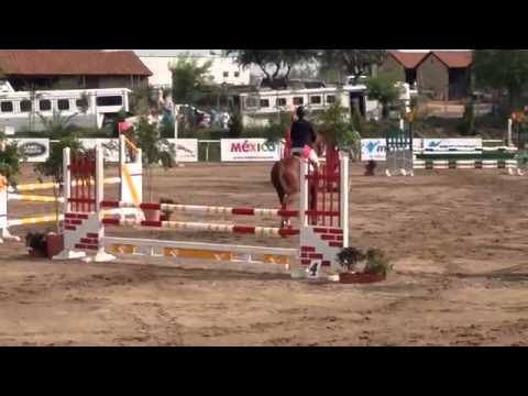 Odin de Alcotlan 5 yo stallion by Orame VDL - YouTube