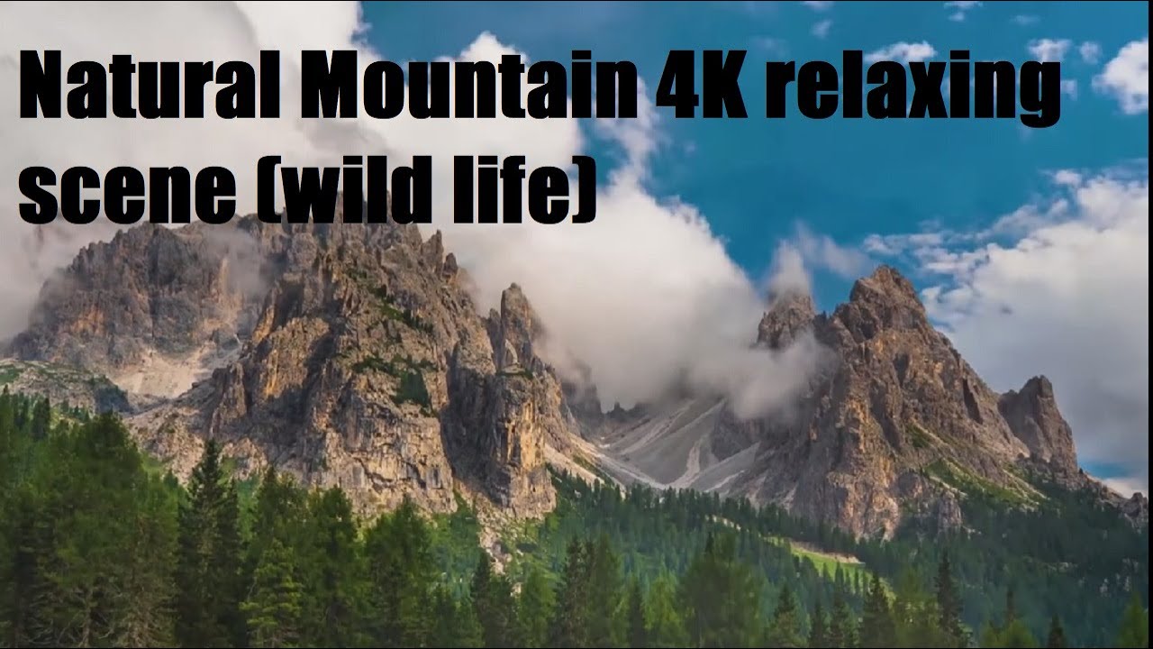 Natural Mountain 4K relaxing scene wild life - YouTube