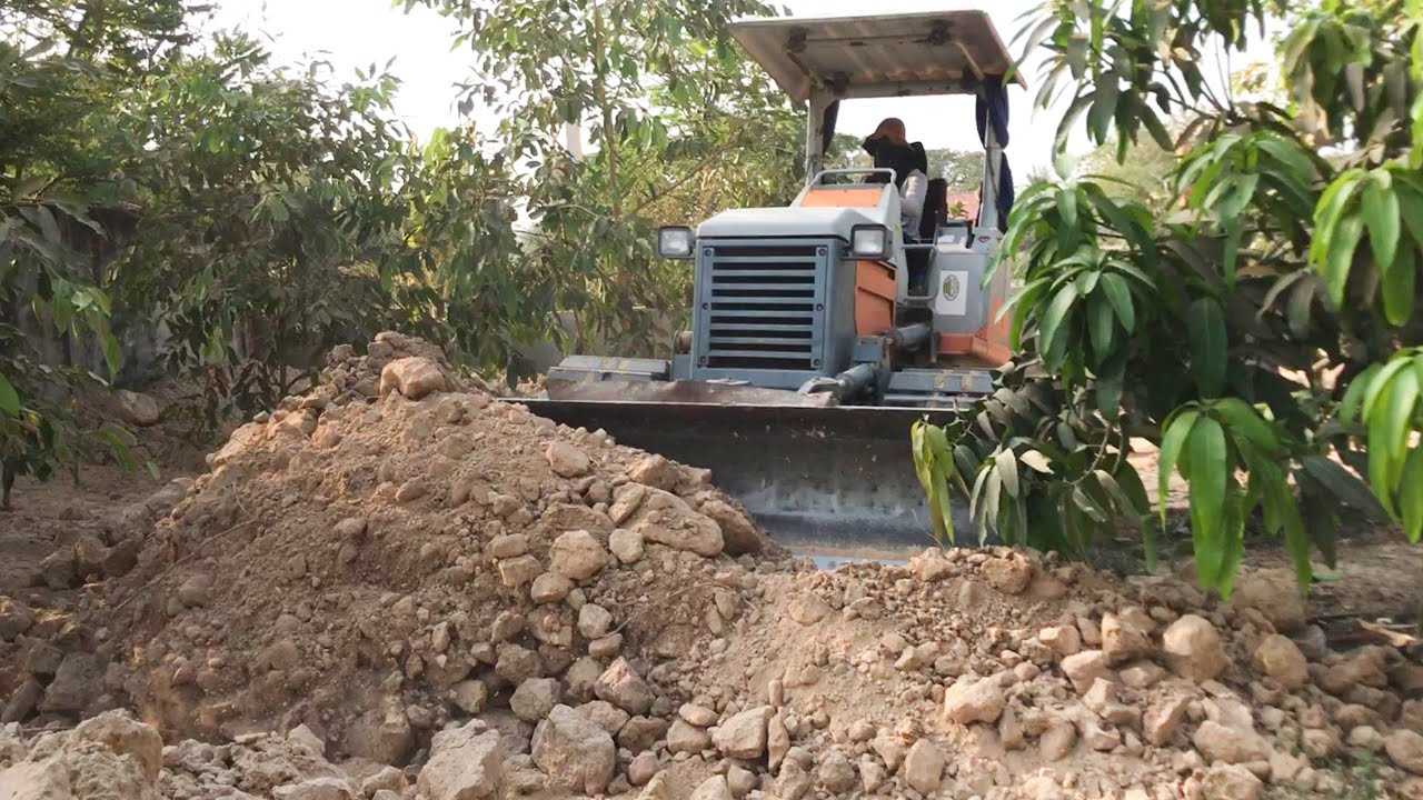 Mini Dozer Moving Dirt In Mango Farm With Mini Dump trucks Auto Dumping ...