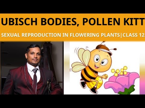 79.UBISCH BODIES, POLLEN KITT| CLASS 12| NEET BIOLOGY| SEXUAL ...
