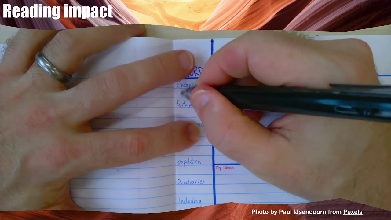 1st Grade LA Unit 4: Reading Impact- Preparing for Discussion 1 - YouTube