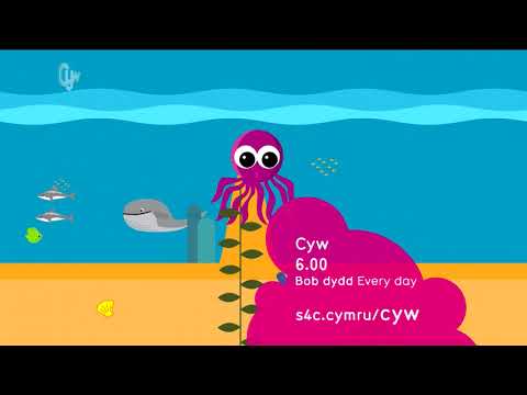 S4C HD Cyw start-up, 10.02.2018