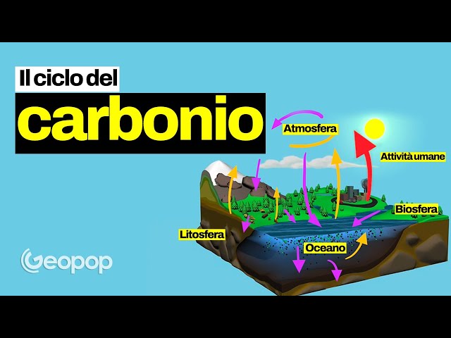 Animazione Ciclo Del Carbonio La Decarbonizzazione Nella Meccanica