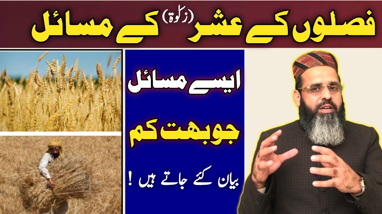 Usher ka hukam or nisab | gandum ka usher | zakat on wheat - YouTube