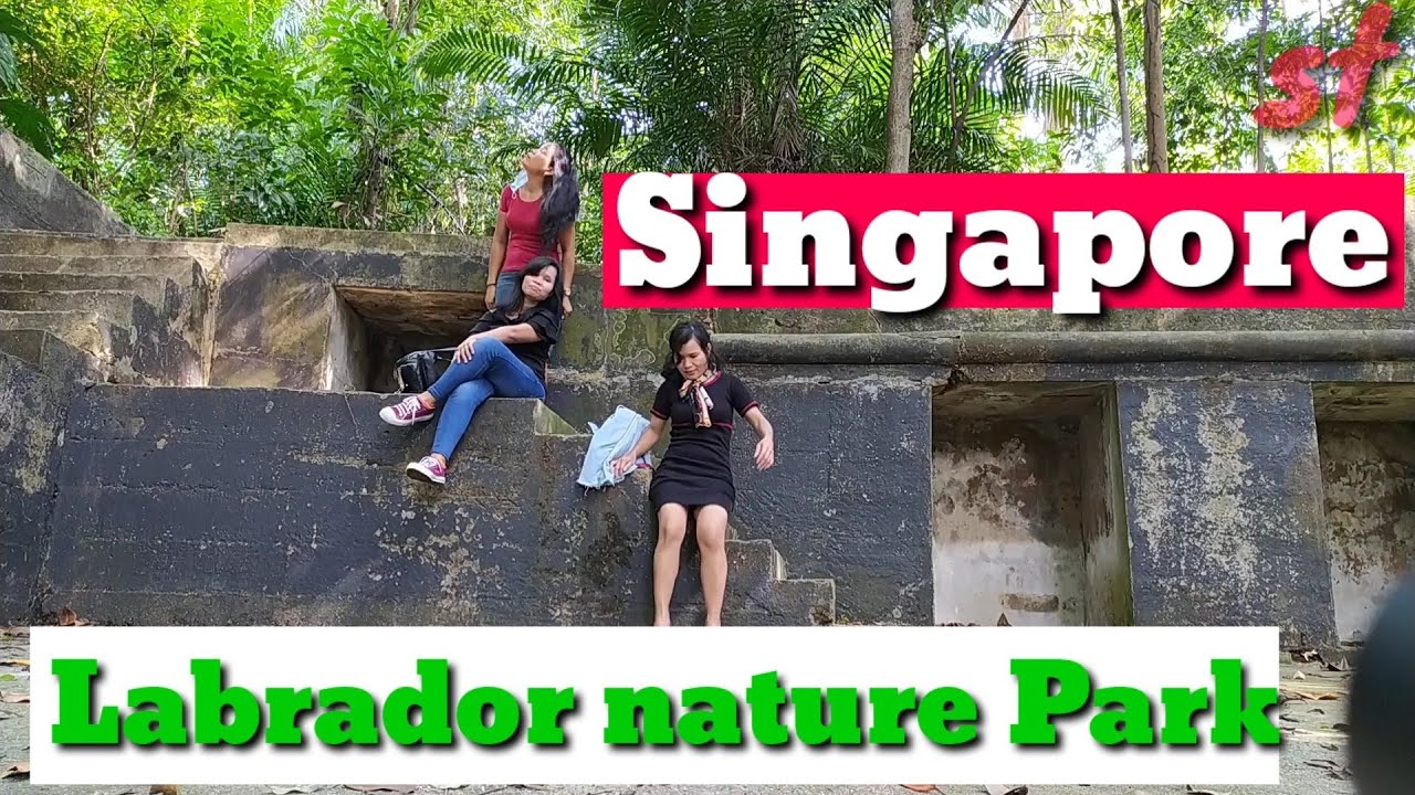 Singapore labrador nature park (walking tour). Labrador park fishing # ...