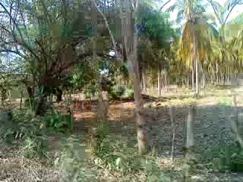 copala guerrero-dia de campo..con la fresada de copala..en una nissan ...