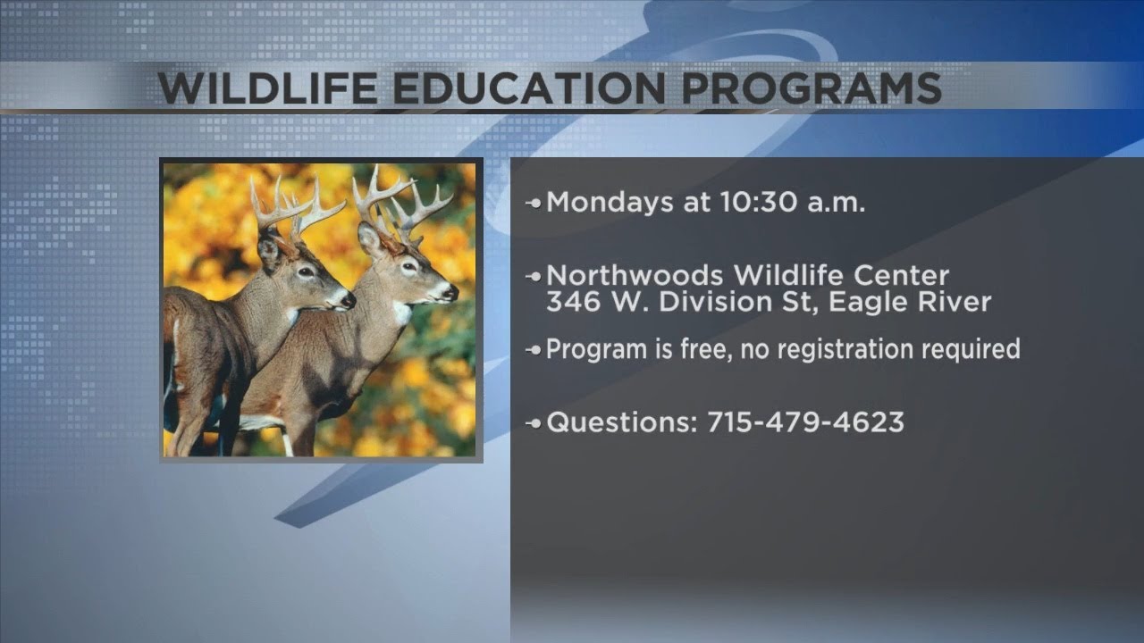 Wildlife education programs at Northwoods Wildlife Center in Eagle ...