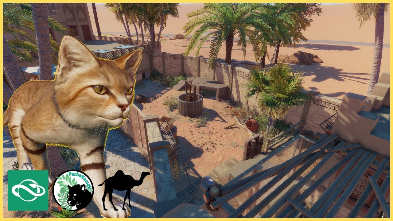 SAND CATS in the streets | Wahat Jamila | Planet Zoo | #2 - YouTube