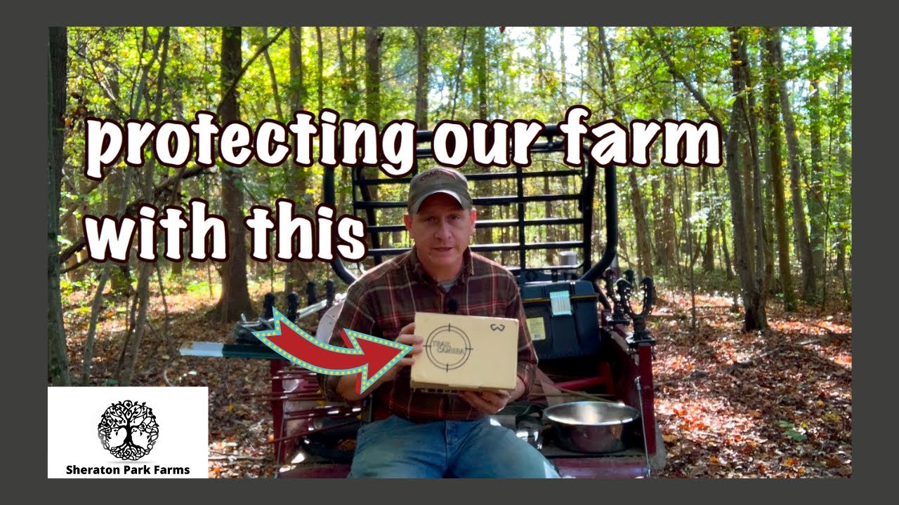 Trail Camera Setup For Security - Monitor Your Small Farm - YouTube