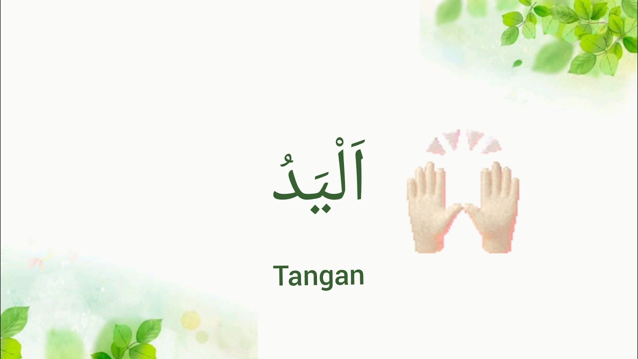 Lagu Mutholaah Li Yadani Yumna wa Yusra - YouTube