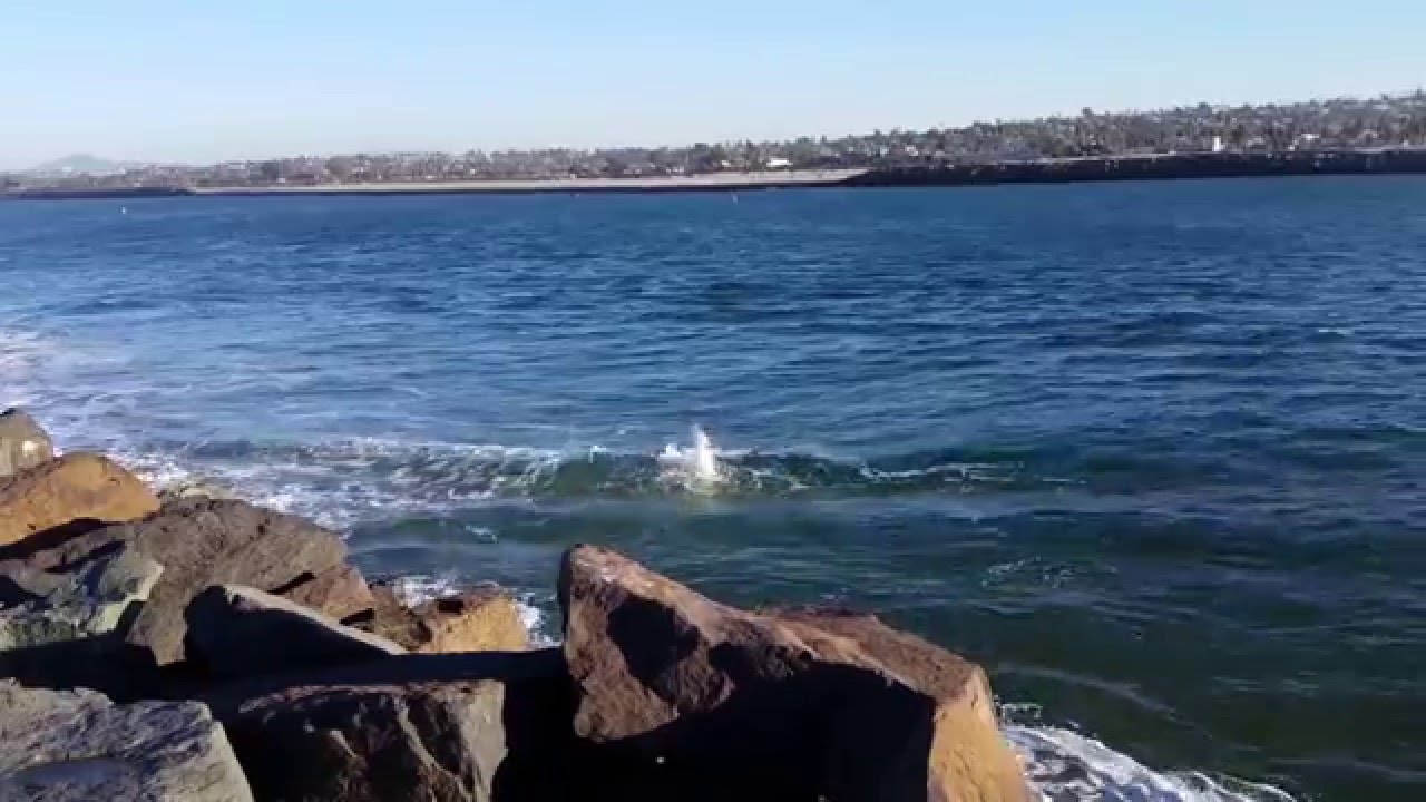 Surfers at the MB Jetty - Mission Beach Jetty 1-10-16 - YouTube