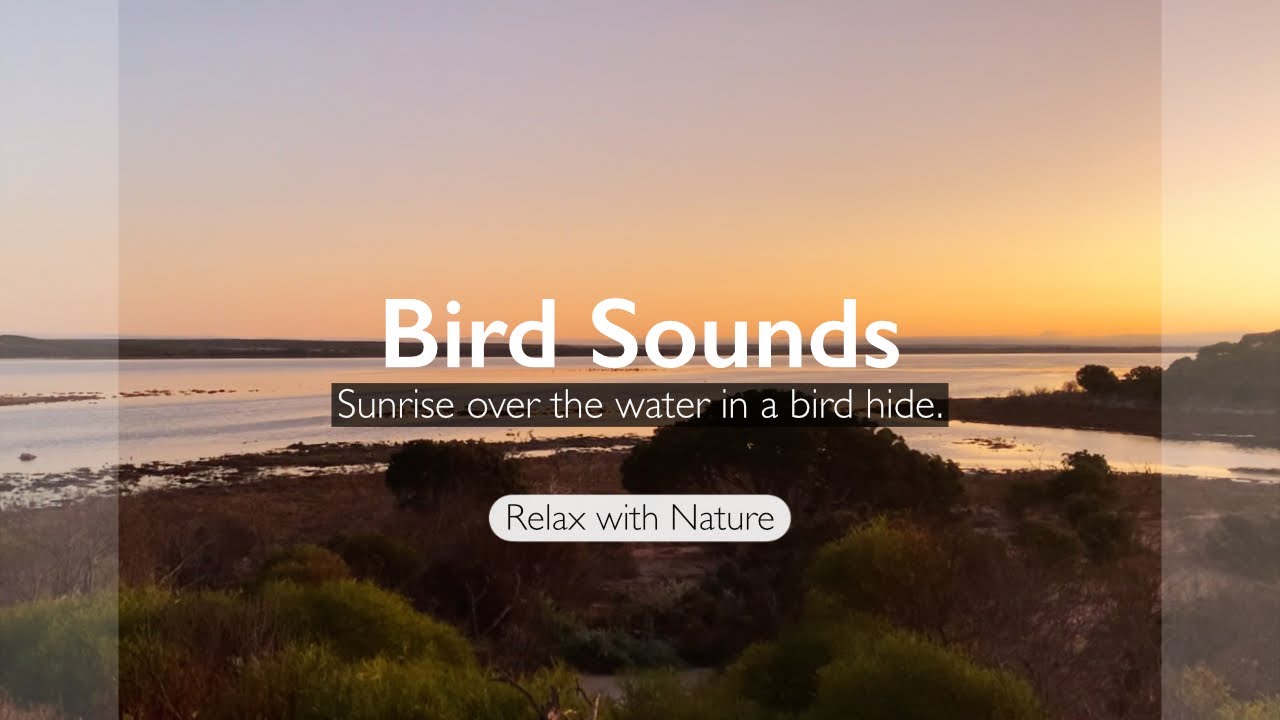 Soundscape - Culham Inlet Bird Hide, Hopetoun WA Australia | Birds ...