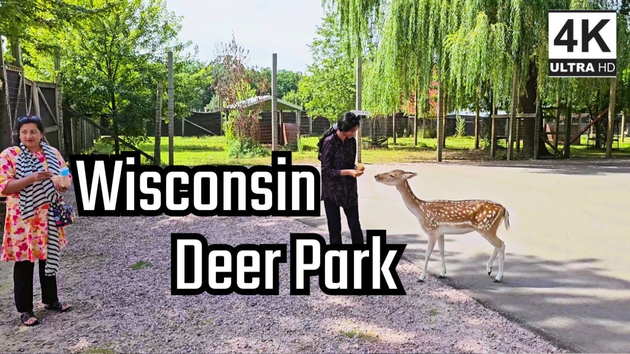 Wisconsin Deer Park - A Must Visit in Wisconsin Dells besides Water ...