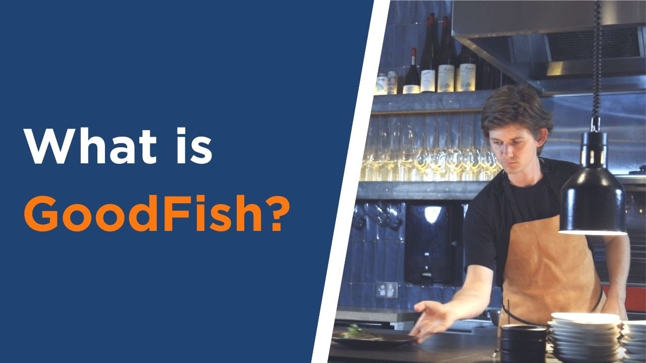 Introducing GoodFish - Australia's Sustainable Seafood Guide - YouTube
