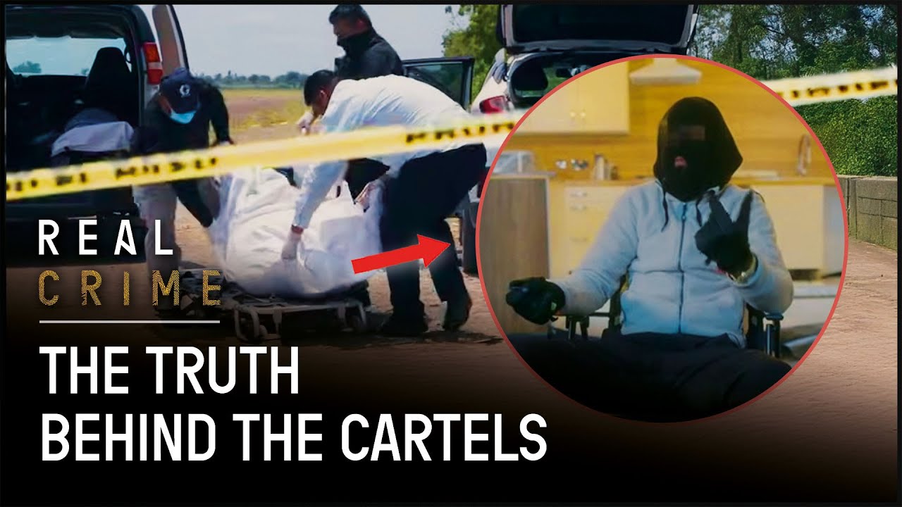 Cartels Explained: How the Drug Trade Really Works - YouTube