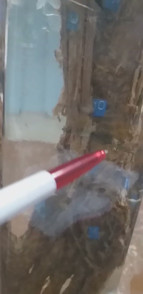 Msk1.hand: anterior view - YouTube