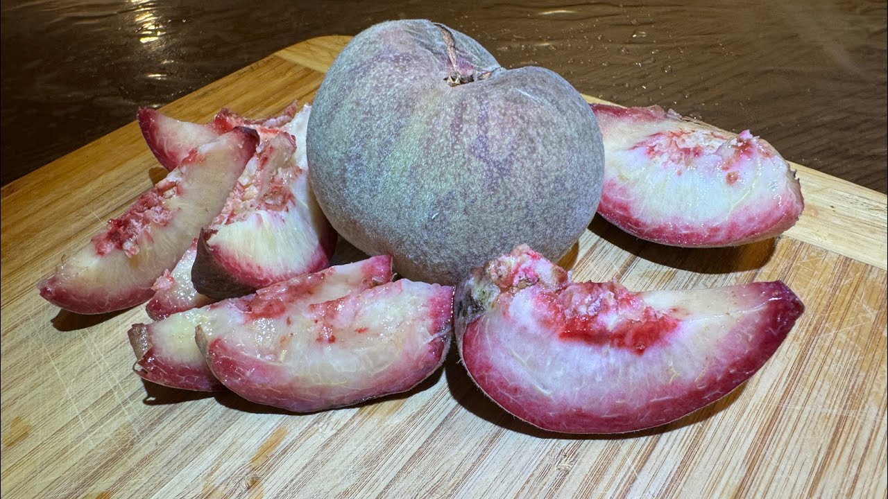 Indian Free Peach Best Late Season Curl Resistant - YouTube