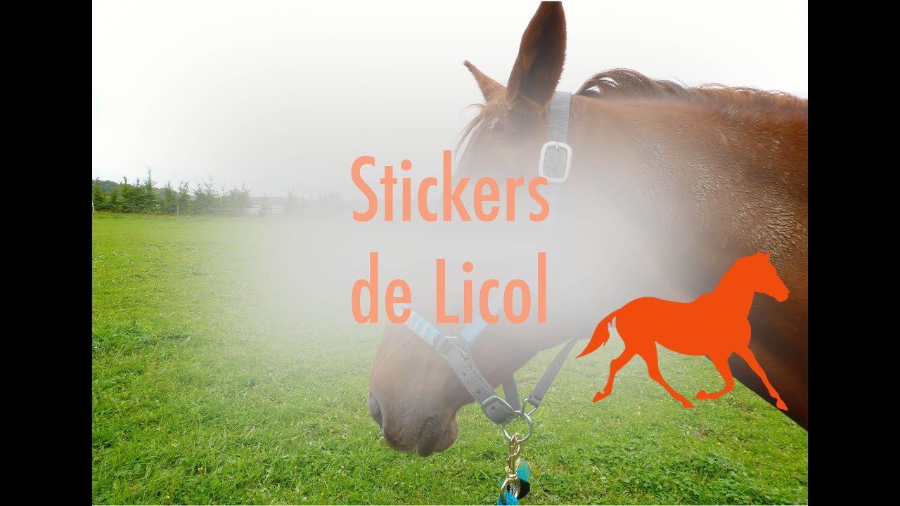 ♦DIY♦ Stickers de Licol - YouTube