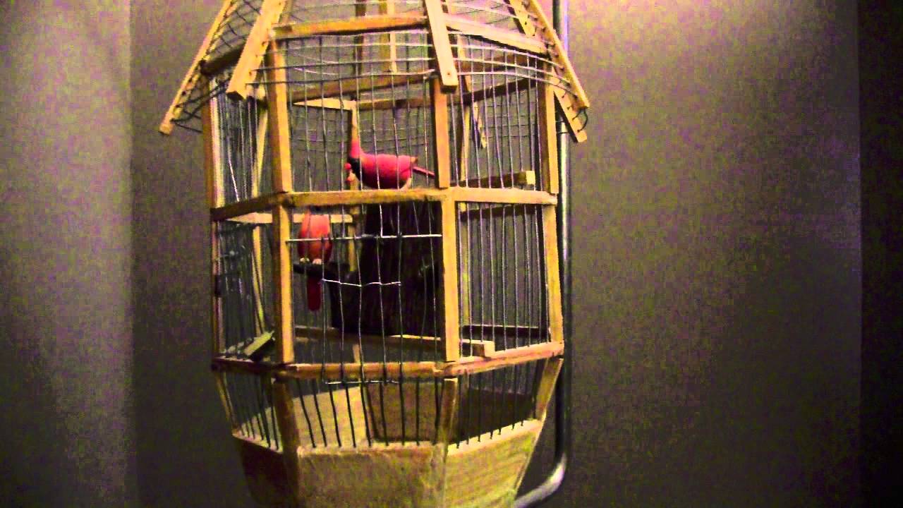 Ivity Brand Corp - YouTube