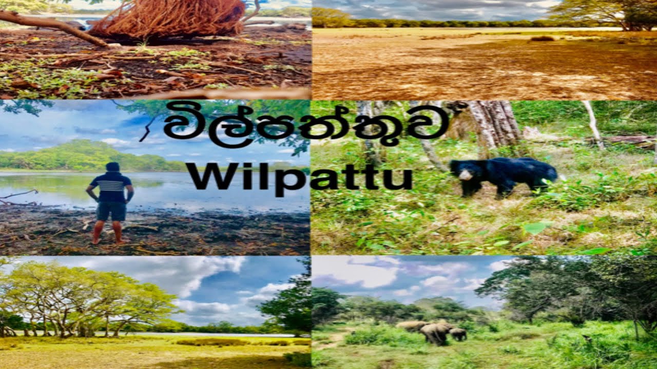 Wilpattu in Sri Lanka - YouTube