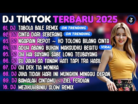 DJ TIKTOK TERBARU 2025 | DJ TABOLA BALE REMIX🎵DJ CINTA DARI SEBERANG🎵| FULL ALBUM