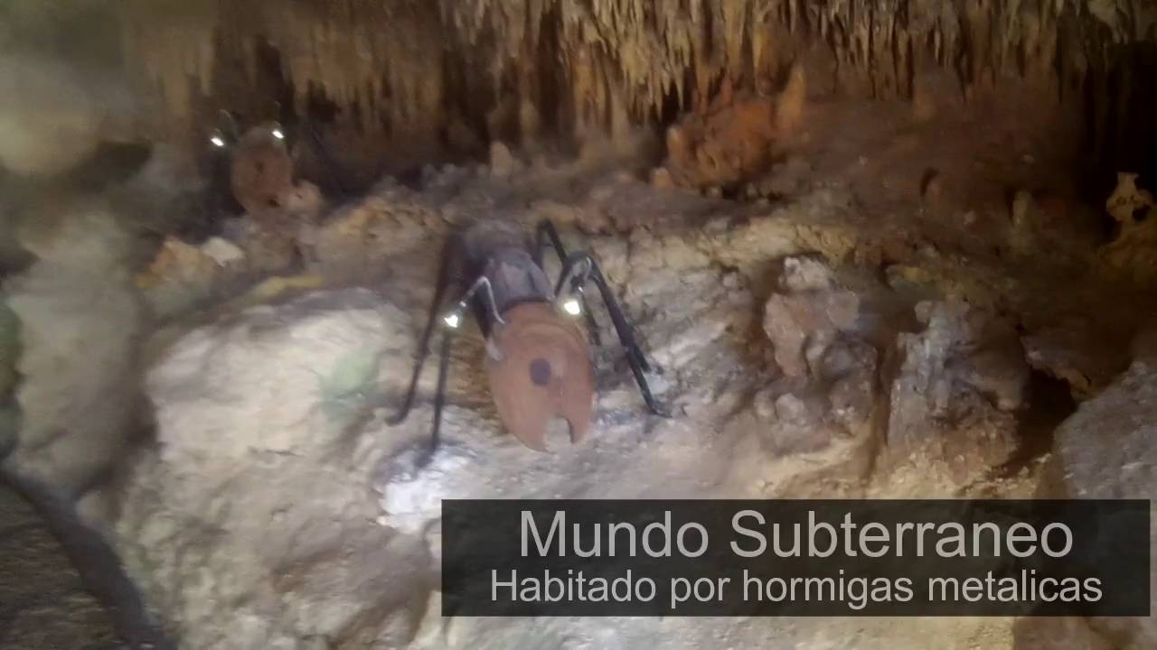Xenses , Parque Sensorial en a Riviera Maya - YouTube