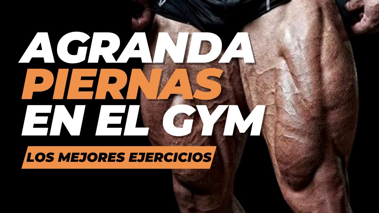 LOS MEJORES EJERCICIOS PARA AGRANDAR PIERNAS Y PERFECCIONAR LA RUTINA ...