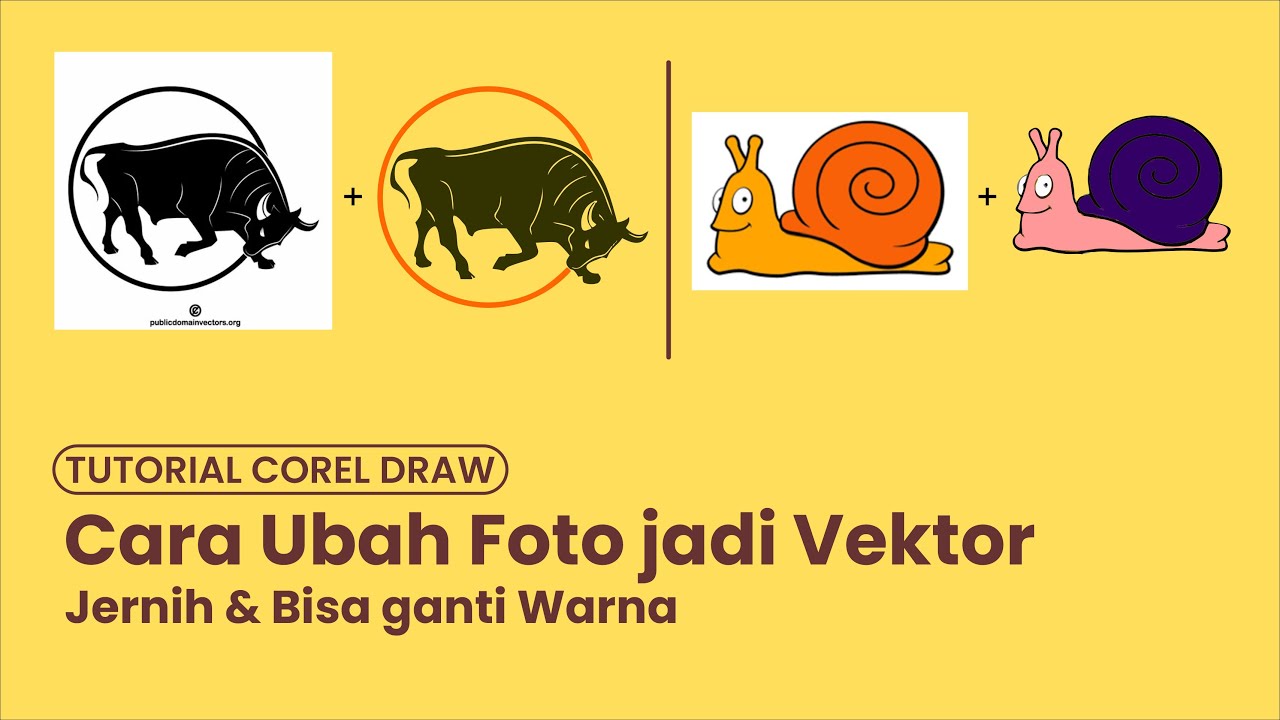 MUDAH BANGET!!! Tutorial ubah Foto jadi Vektor, bisa jadi aset desain ...