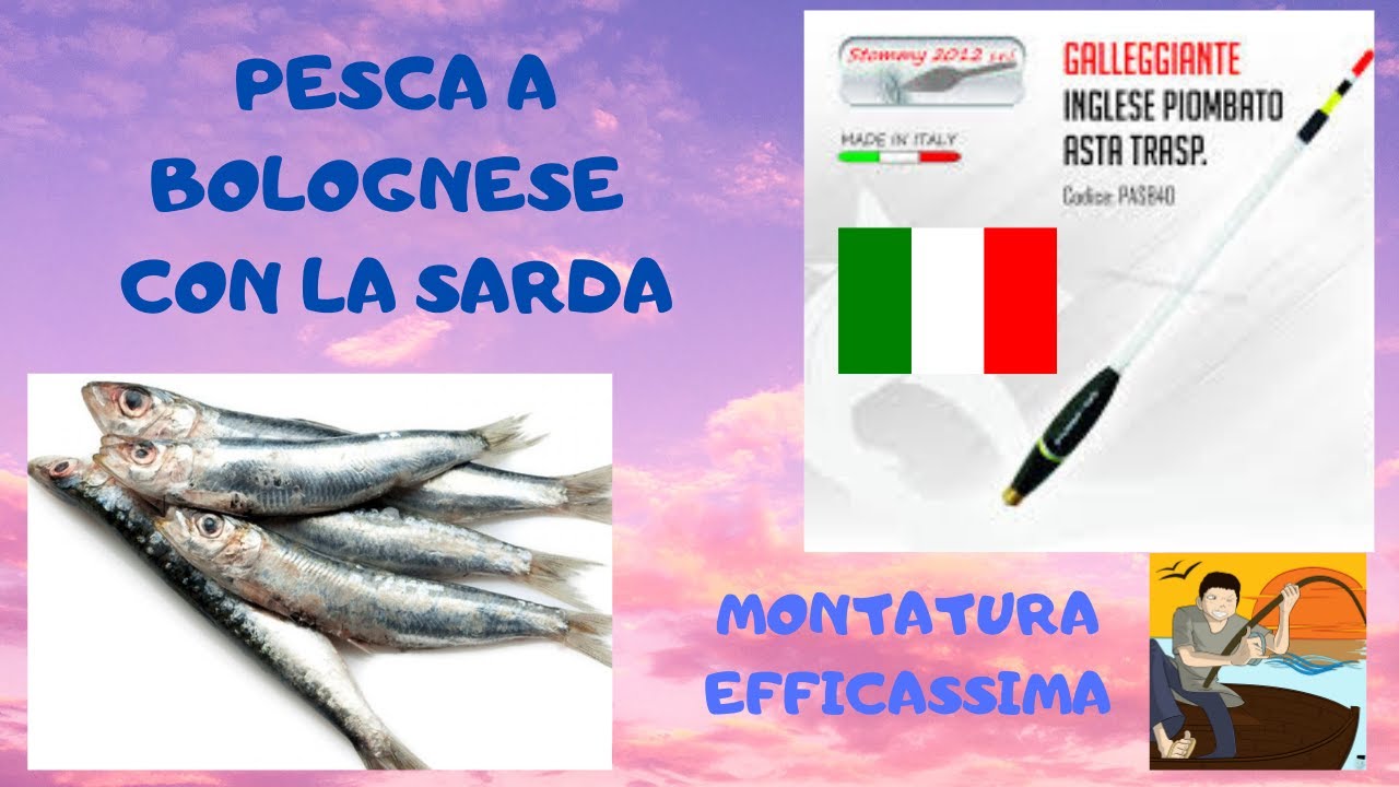 SUPER MONTATURA PER PESCA CON LA SARDA A BOLOGNESE! [SPIEGAZIONI ...