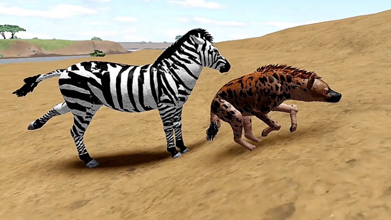 HYENA HUNTS ZEBRA! Wild Savannah Roblox - YouTube