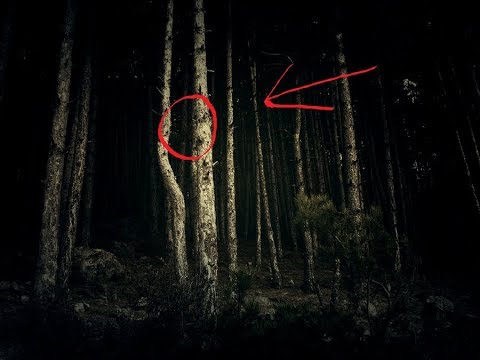 Ormanda Bir GECE Geçirdik !!! (KIZILCAHAMAM)