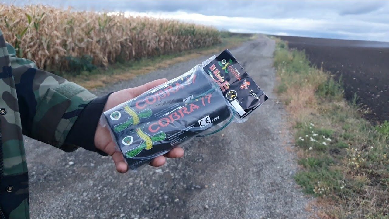 💥🐍💥Cobra 17💥🐍💥 - YouTube