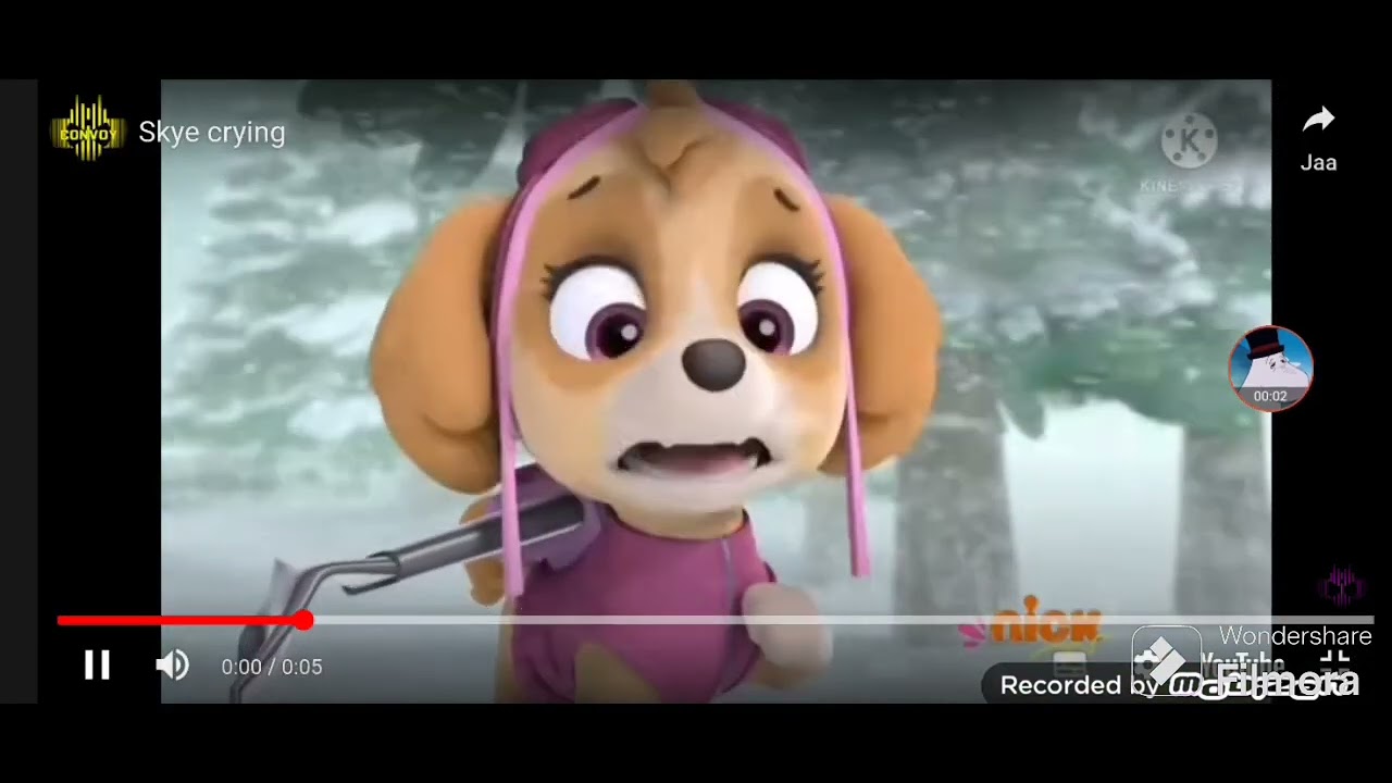 Hissy Yells At Skye And Makes Her cry - YouTube