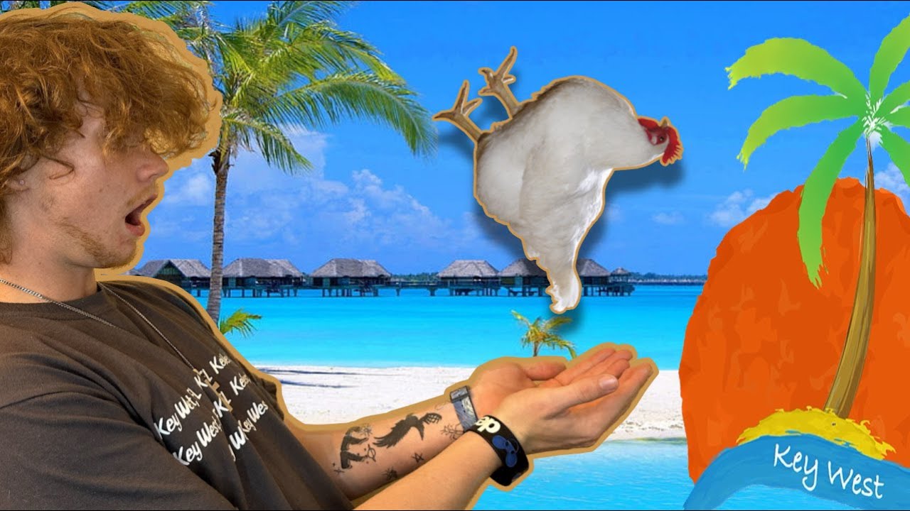 Flippin' Chickens in Key West! (Blueberry Vice pt.4) - YouTube