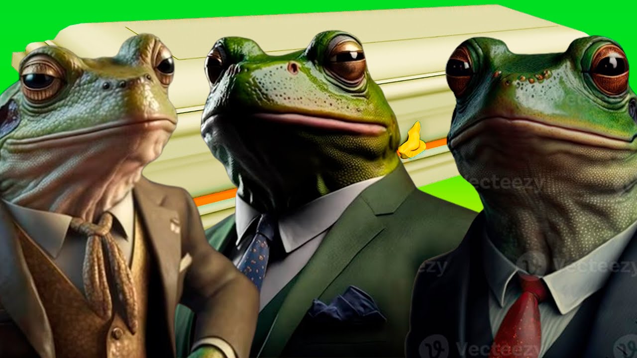 Funny Frogs - Coffin Dance Song (COVER) - YouTube