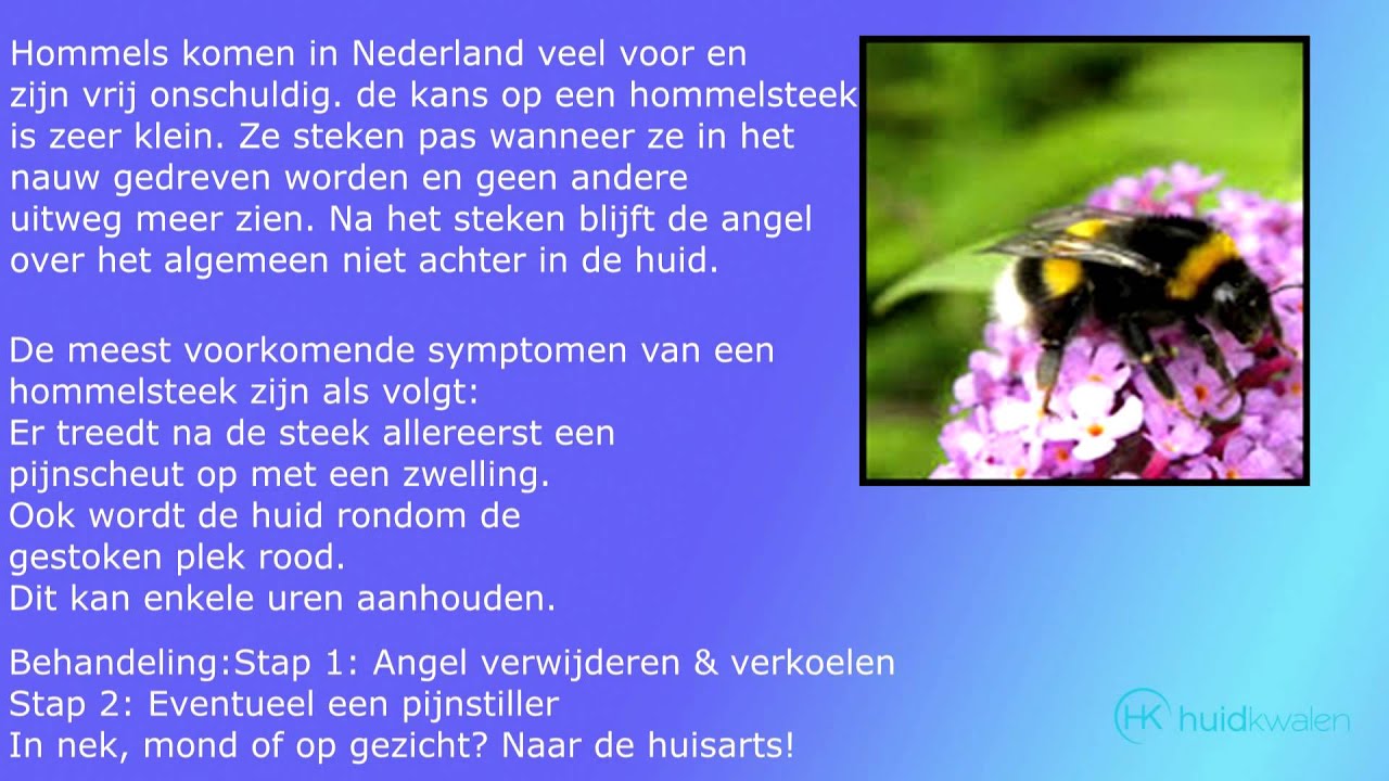 Hommelsteek - YouTube