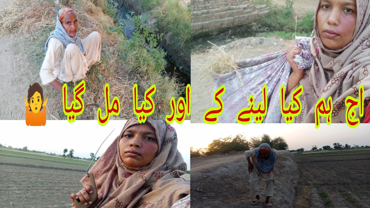 Aaj Ham Kya Lene gaye aur kya Mil Gaya Faiza family vlog 445 ...