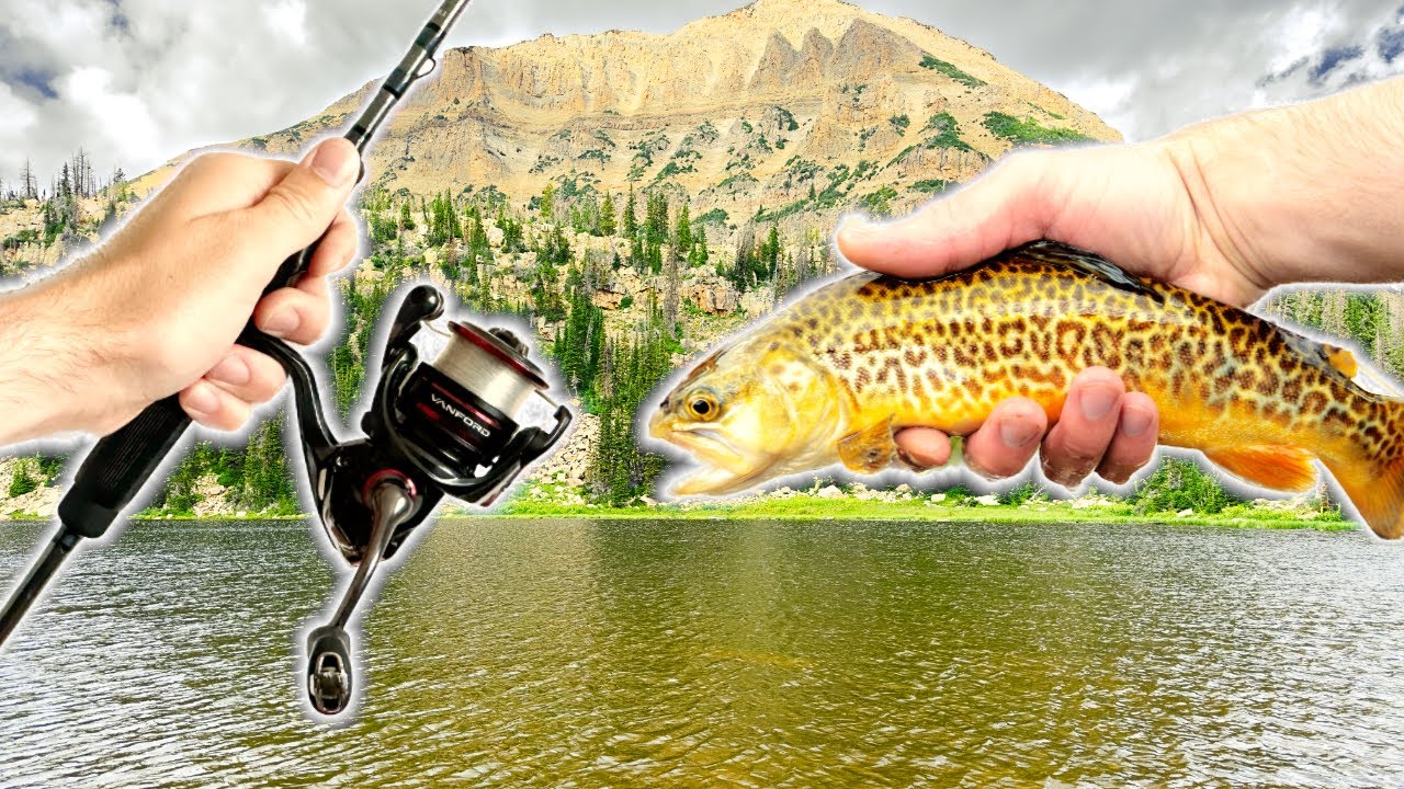 High Mountain Fishing at Multiple Lakes for Wild Trout in Unitas ...