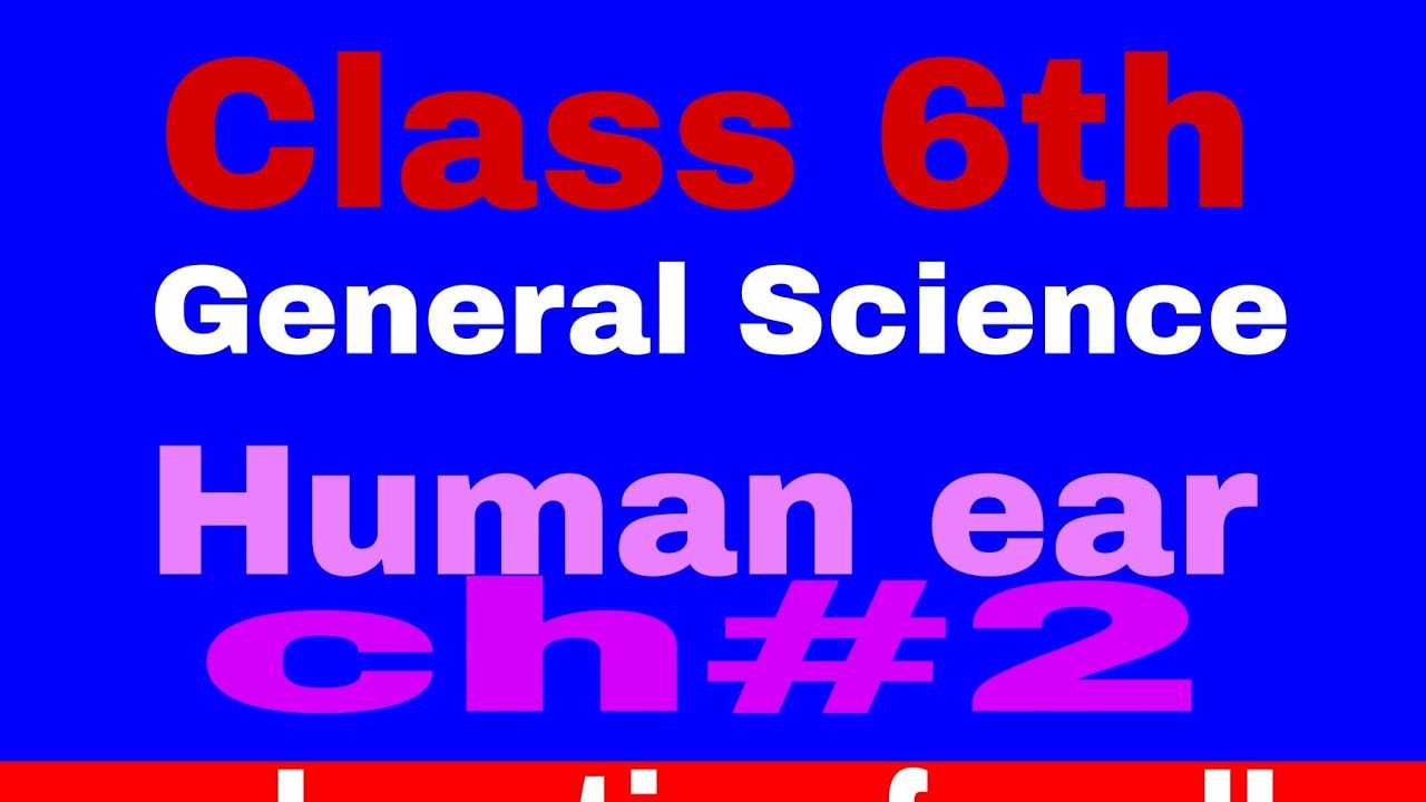 Human Ear class 6 th - YouTube
