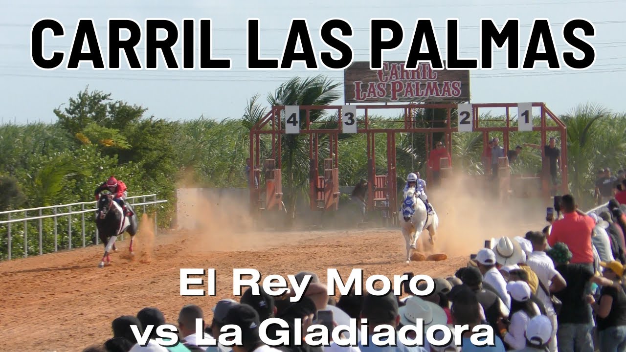 El Rey Moro vs La Gladiadora - YouTube