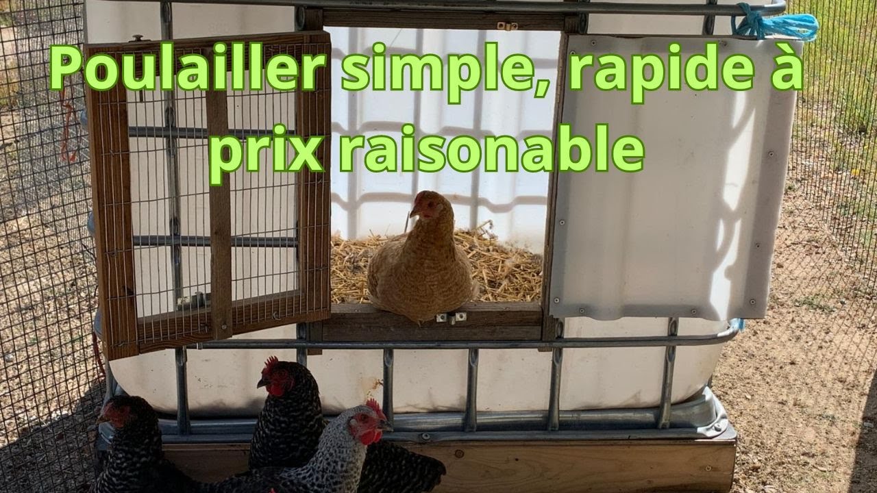 Poulailler simple rapide à prix raisonable - YouTube