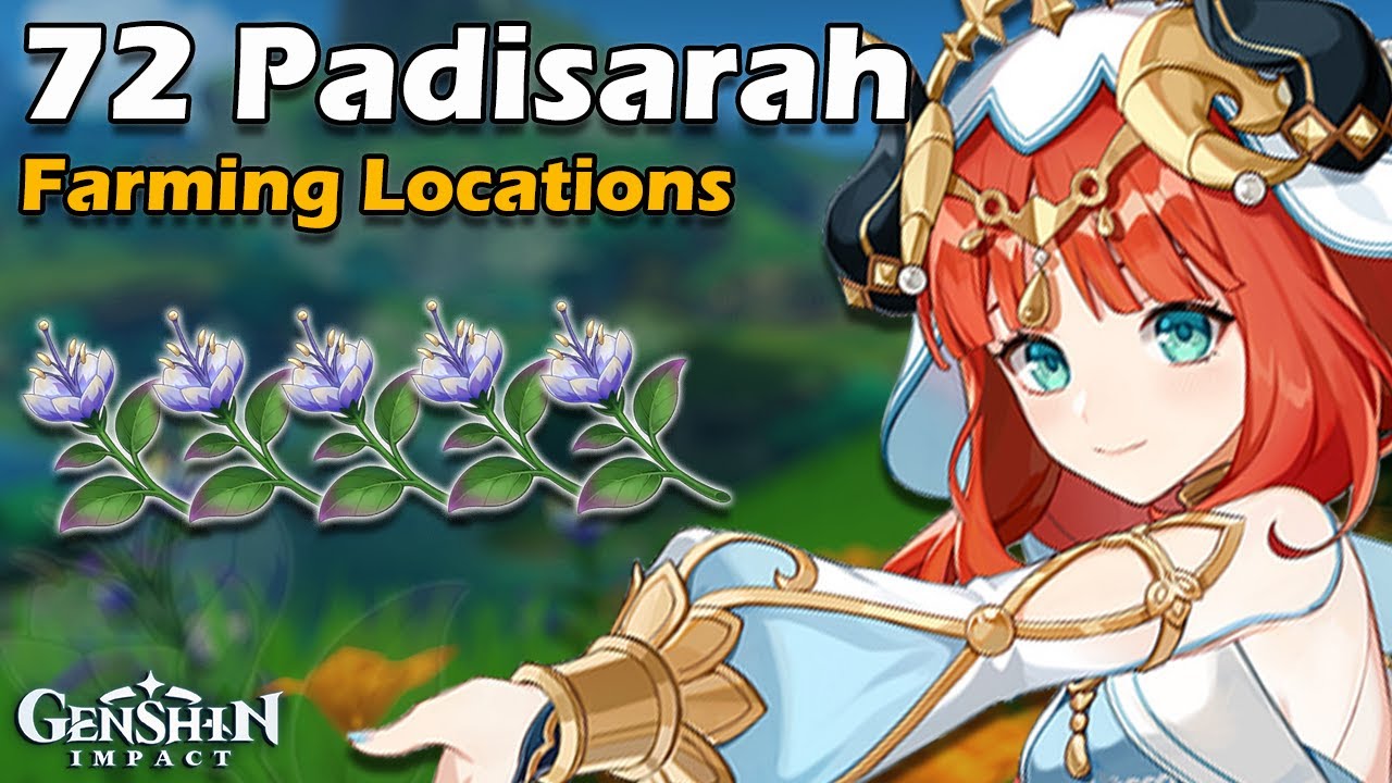 All 72 Padisarah Farm Route Locations ( Lokasi Farming Padisarah ...