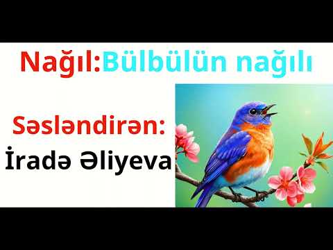 Bülbülün nağılı