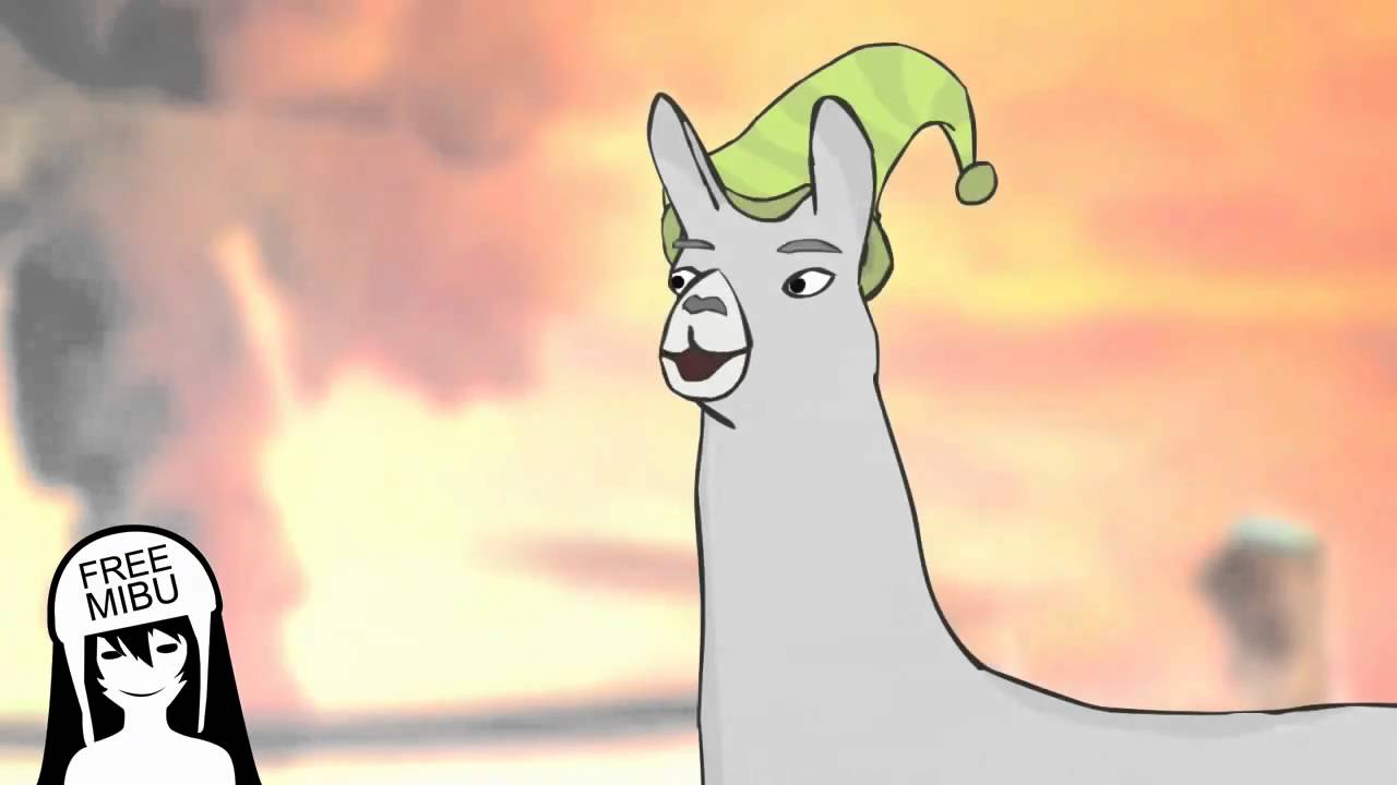 Lamas mit Hüten 4 (HQ) - YouTube
