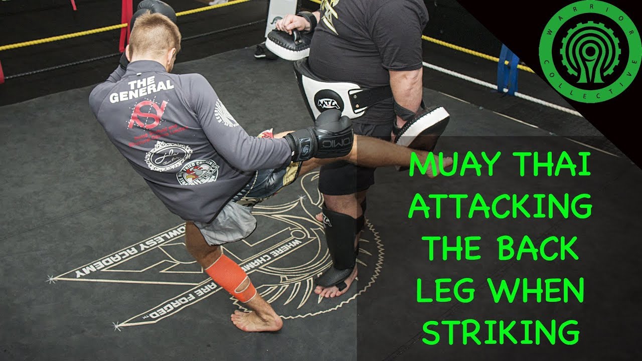 Muay Thai Techniques - Attacking the Rear Leg Tutorial - YouTube