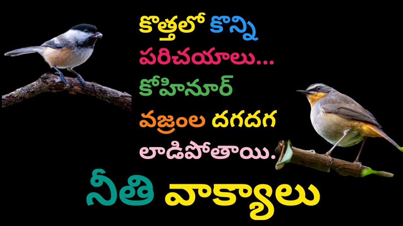 Neethi vakyalu #599 | jeevitha satyalu | quotes | top matalu | telugu ...