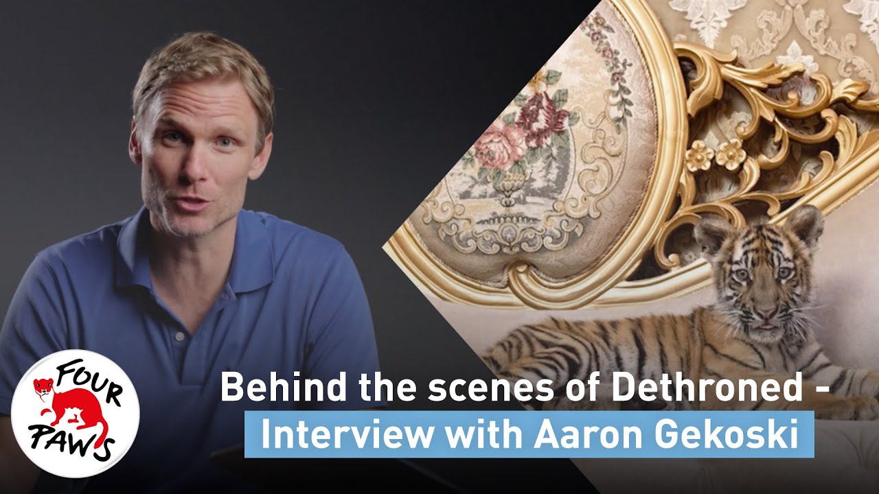 🎬 Behind the scenes of Dethroned! - YouTube